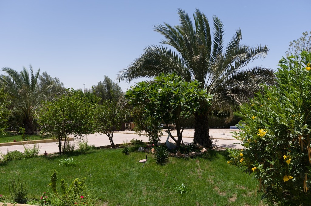 Mishref - spacious, three bedroom ground floor w/patio and common ...