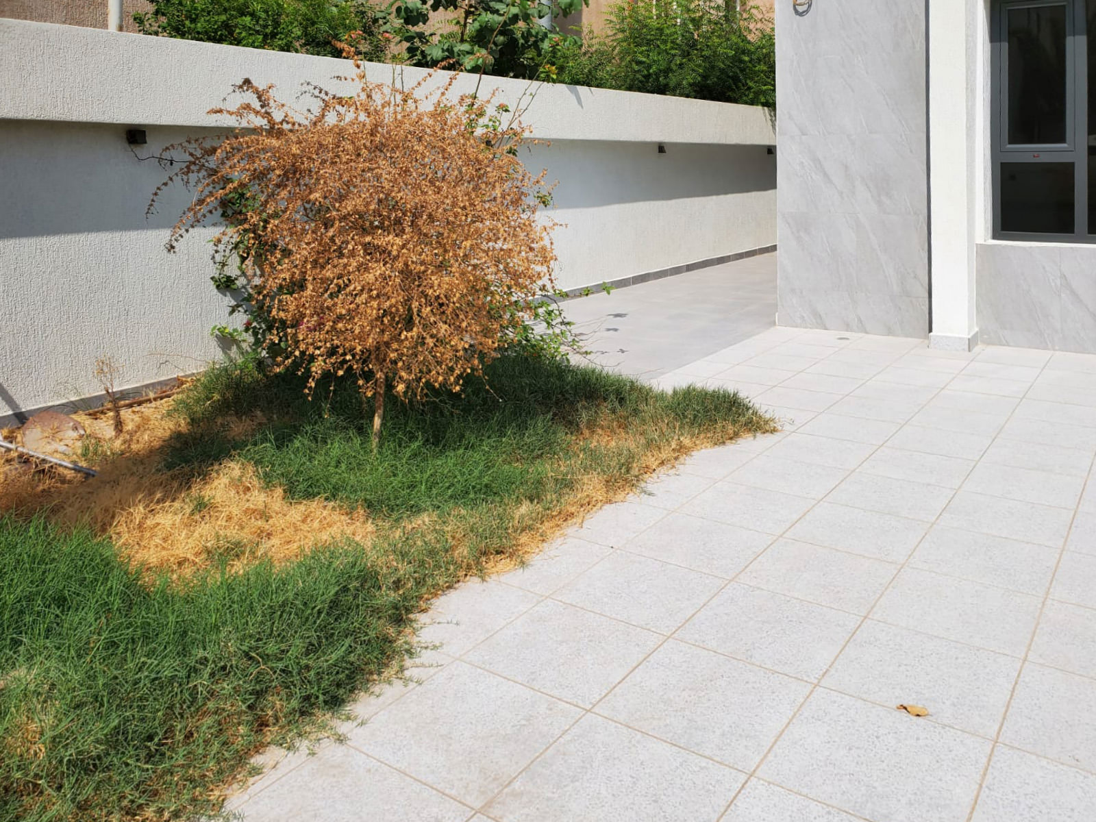 Mishref - newly renovated, unfurnished villa w/garden Horizon Q8 ...